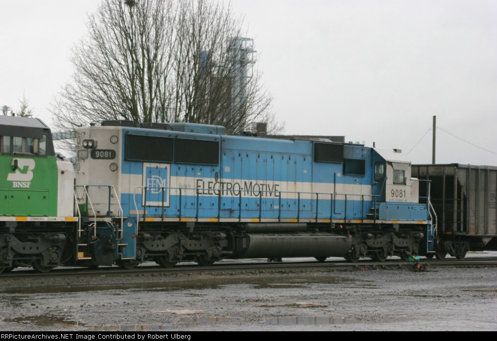 EMD 9081